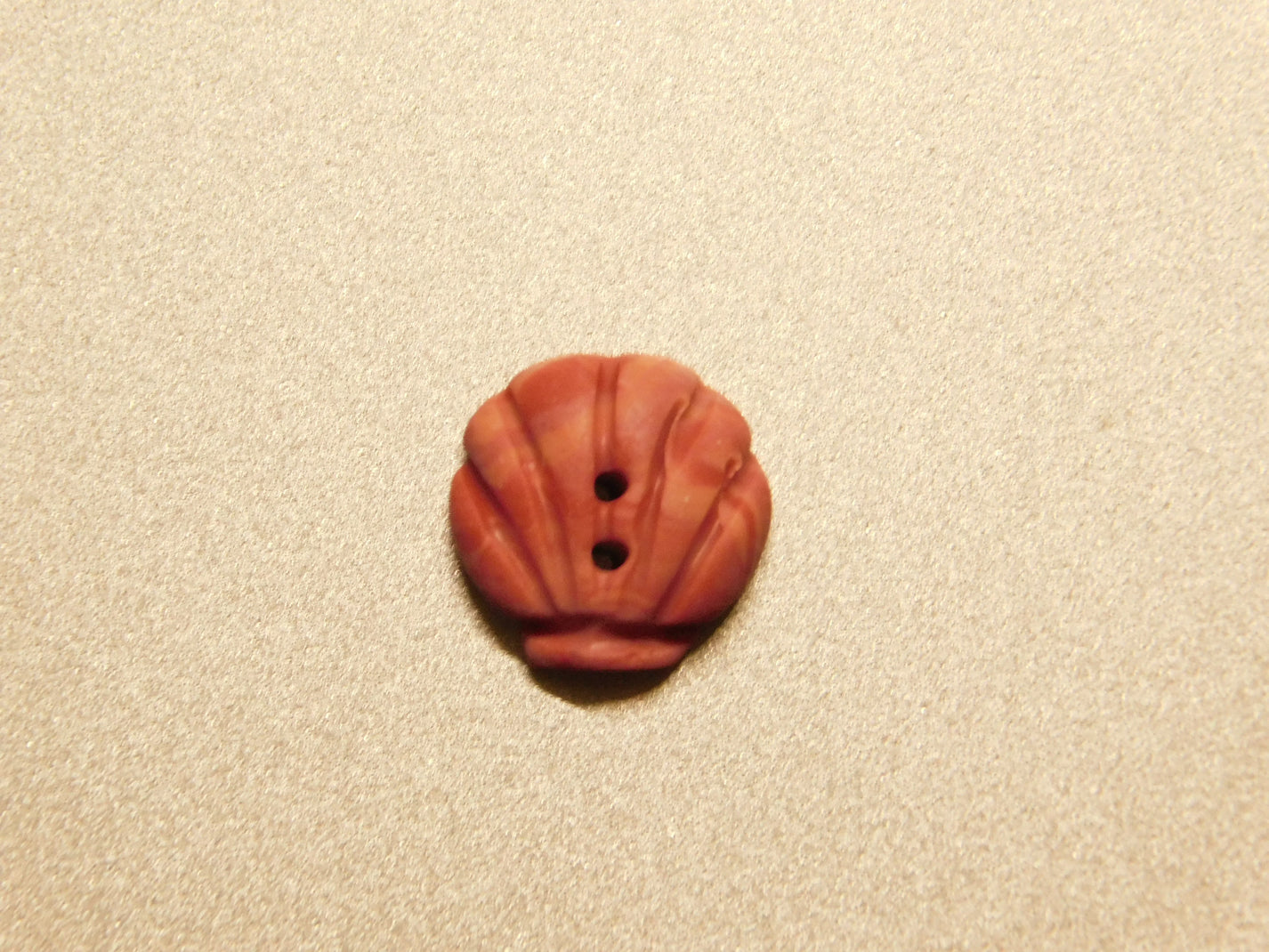 Coral Seashell, Small button – Sandra's Stitch Stash
