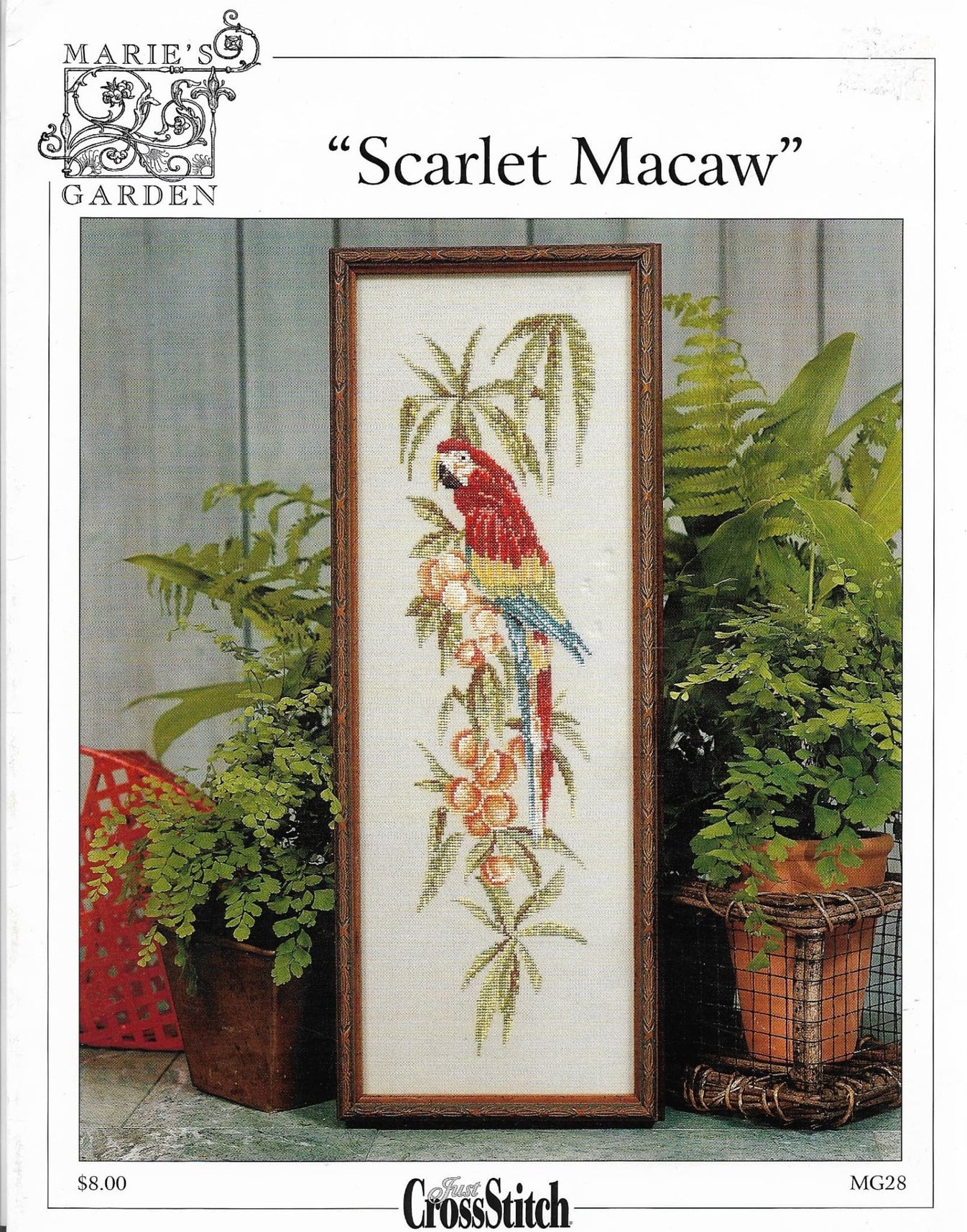 Scarlet Macaw pattern – Sandra's Stitch Stash