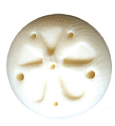 Sparkly Sand Dollar button – Sandra's Stitch Stash